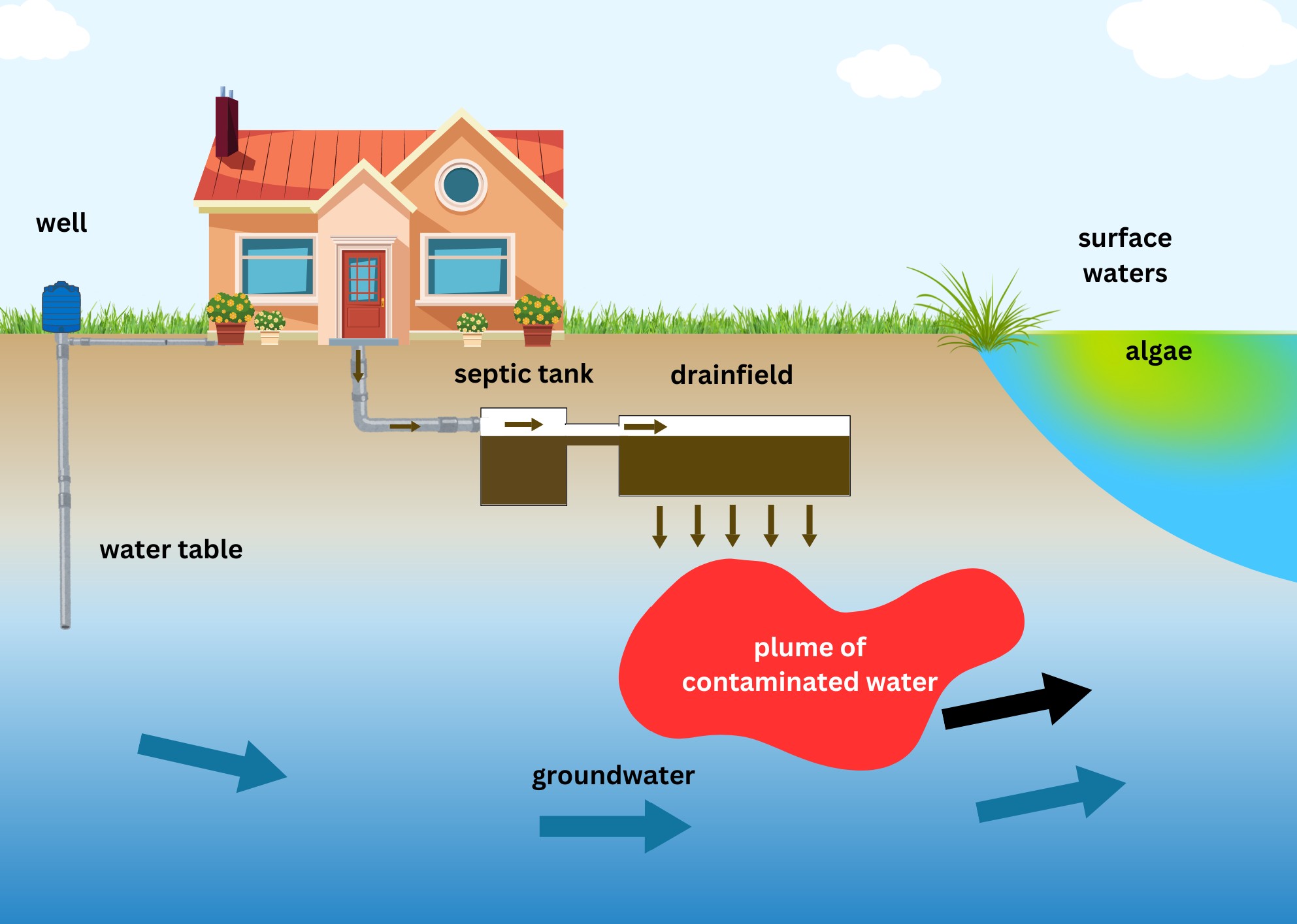 Septic Tips - #1 Septic Tank Pumping & Cleaning | Family Owned Since 1981